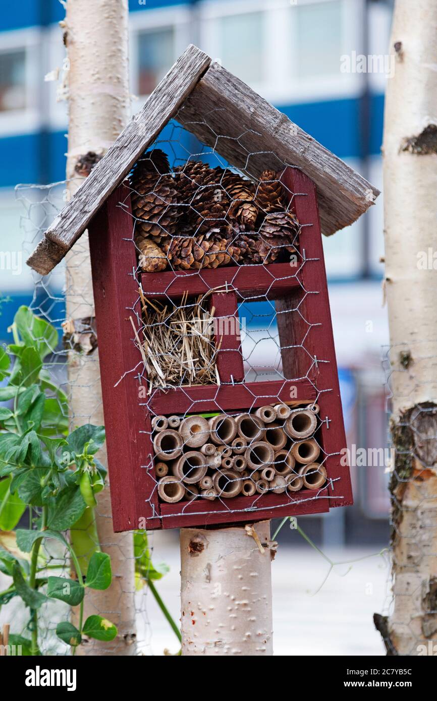 Modern insects hi-res stock photography and images - Alamy