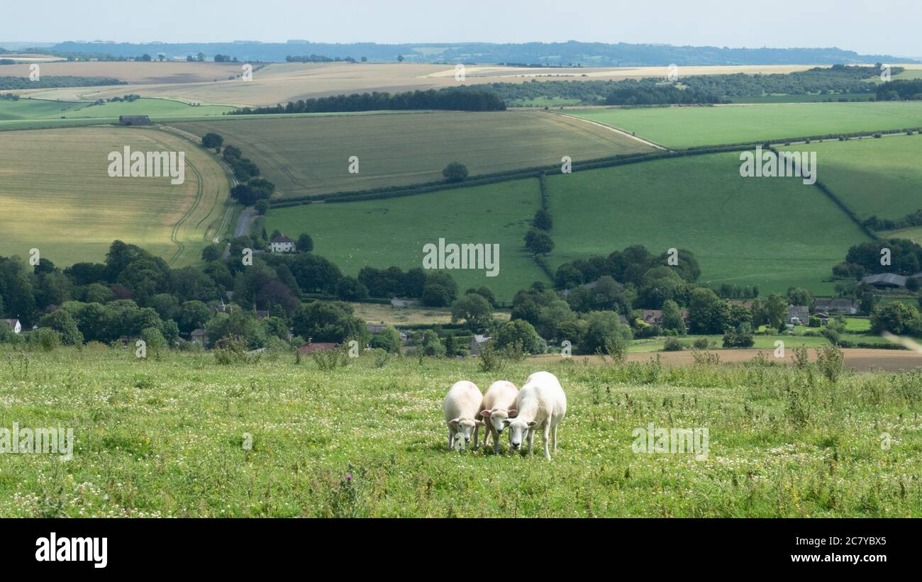 Cold kitchen hill hi-res stock photography and images - Alamy