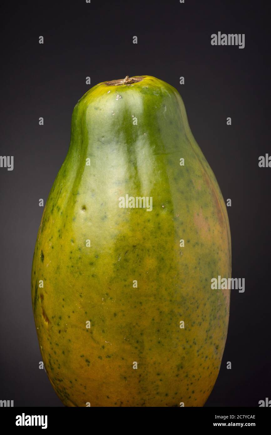 Upright large red papaya fruit Stock Photo - Alamy