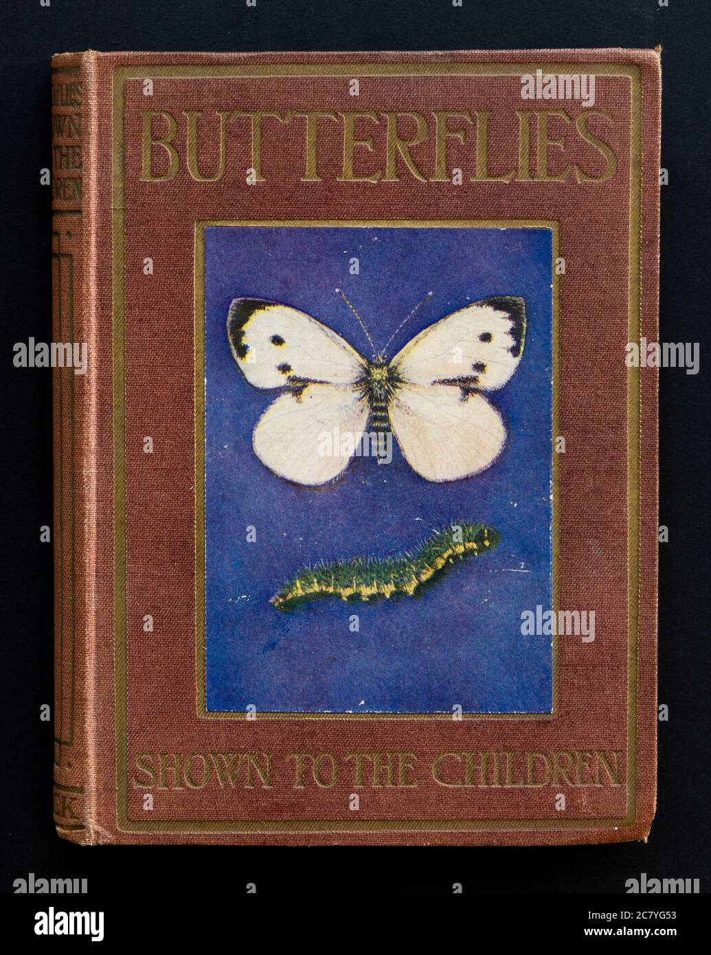 Butterflies shown to the children vintage book - by Janet Harvey Kelman ...