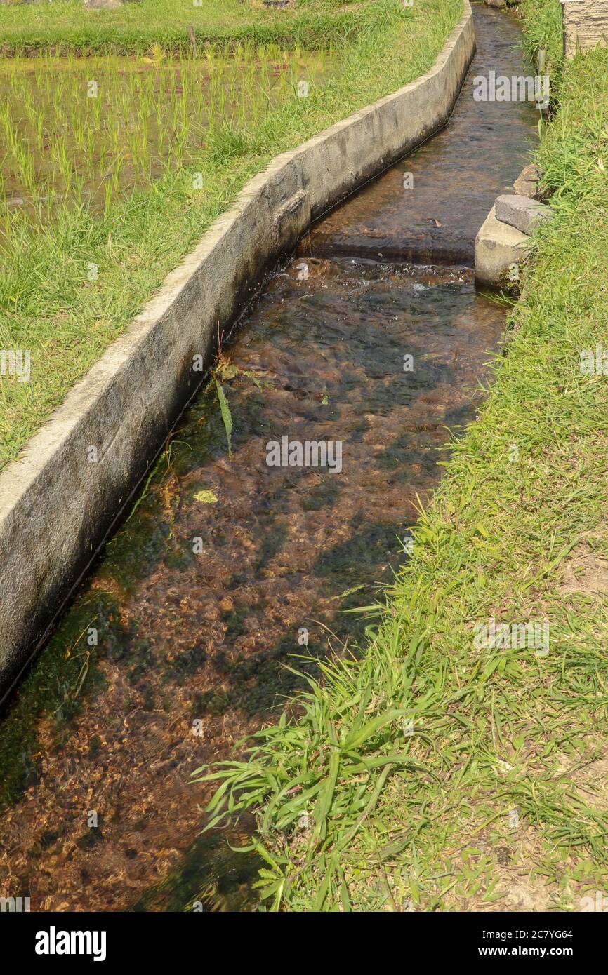 Irrigation canal called subak, a traditional way of bringing water to ...
