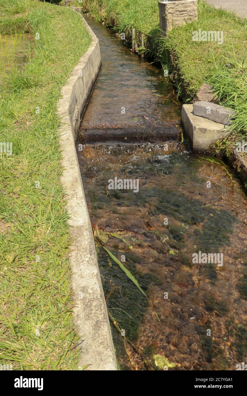 Irrigation canal called subak, a traditional way of bringing water to ...