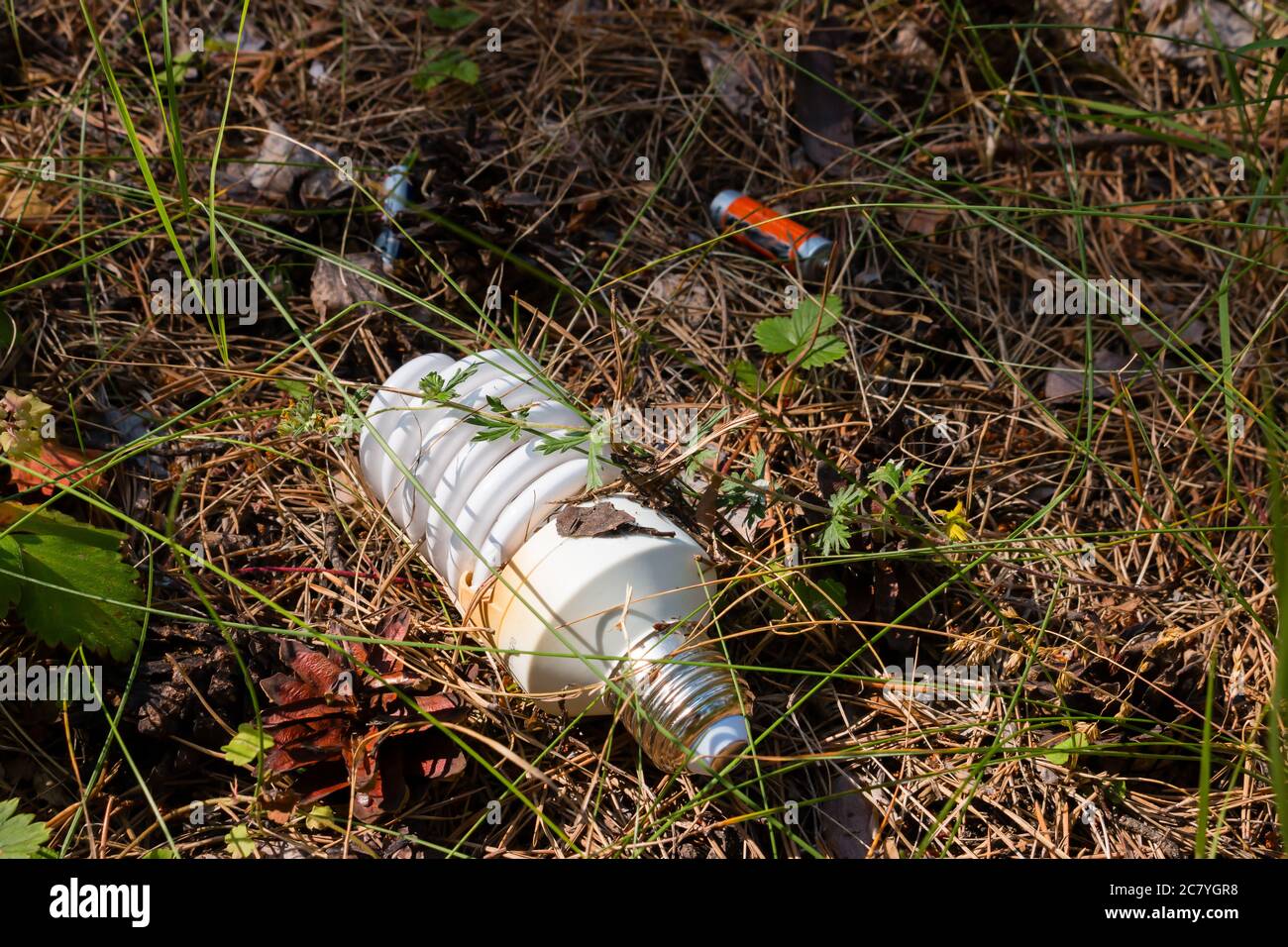 light bulb and batteries - hazardous waste in the woods Stock Photo - Alamy