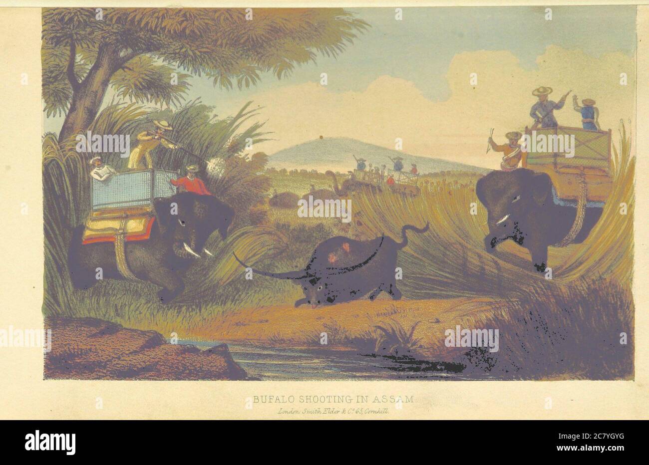 Assam tribes hi-res stock photography and images - Alamy