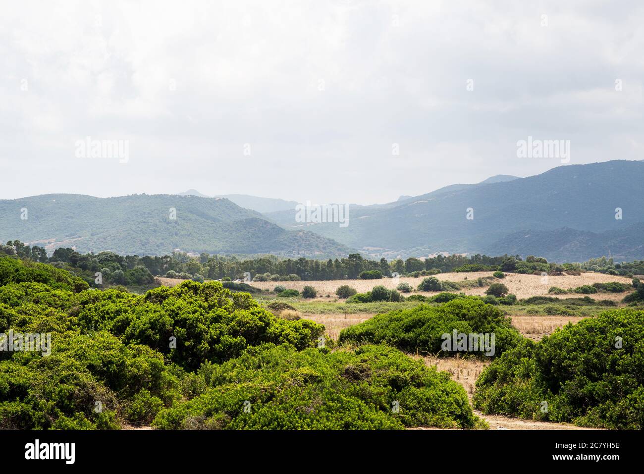 Traditional Sardinian Landscape with Hills, Low Bushes and Dry Yellow ...