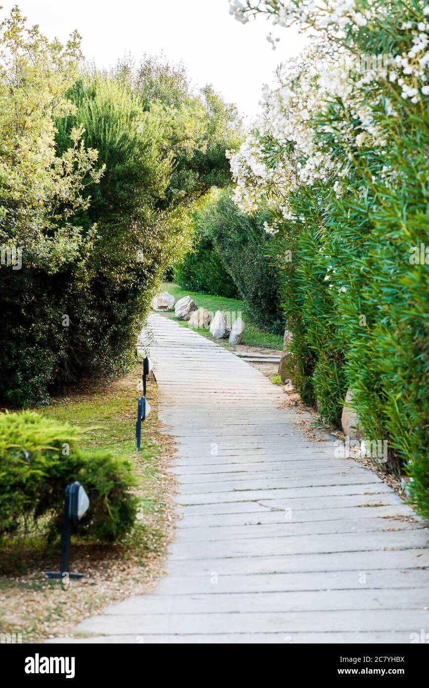 Trees garden pathway perspective hi-res stock photography and images ...