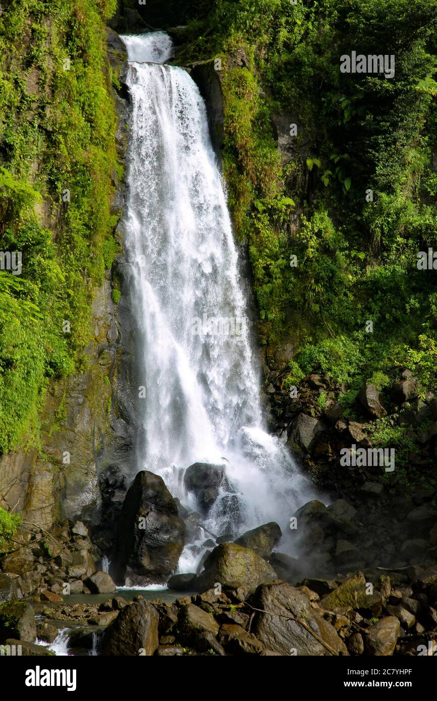 Twin waterfall in Dominica Stock Photo - Alamy