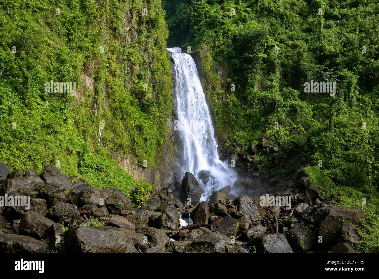 Twin waterfall in Dominica Stock Photo - Alamy