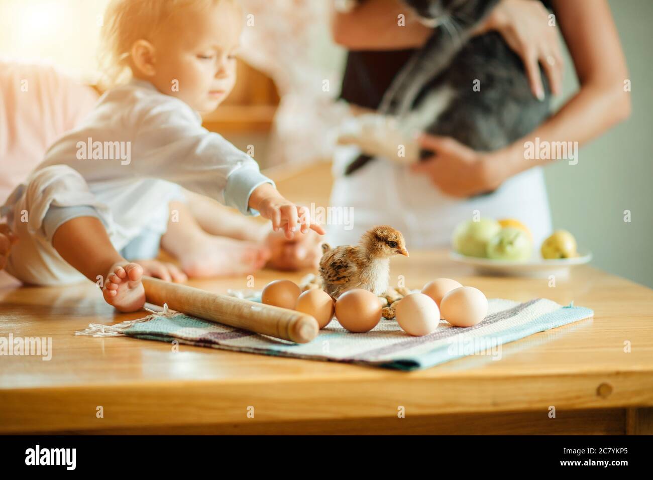 Cute sweet little child playing with little chicks at home with her ...