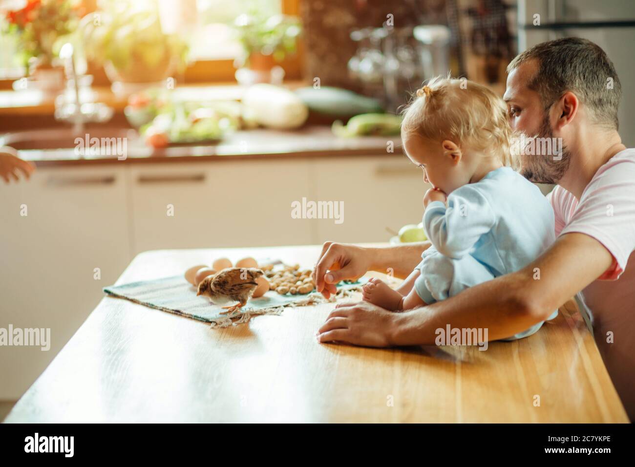 Cute sweet little child playing with little chicks at home with her ...