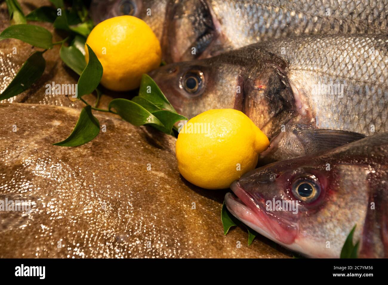 European bass and Brill for sale et fish market in France. Fish has ...