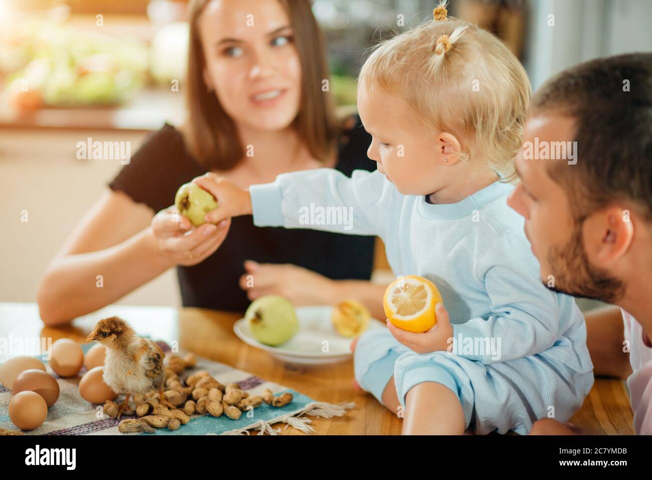 Cute sweet little child playing with little chicks at home with her ...