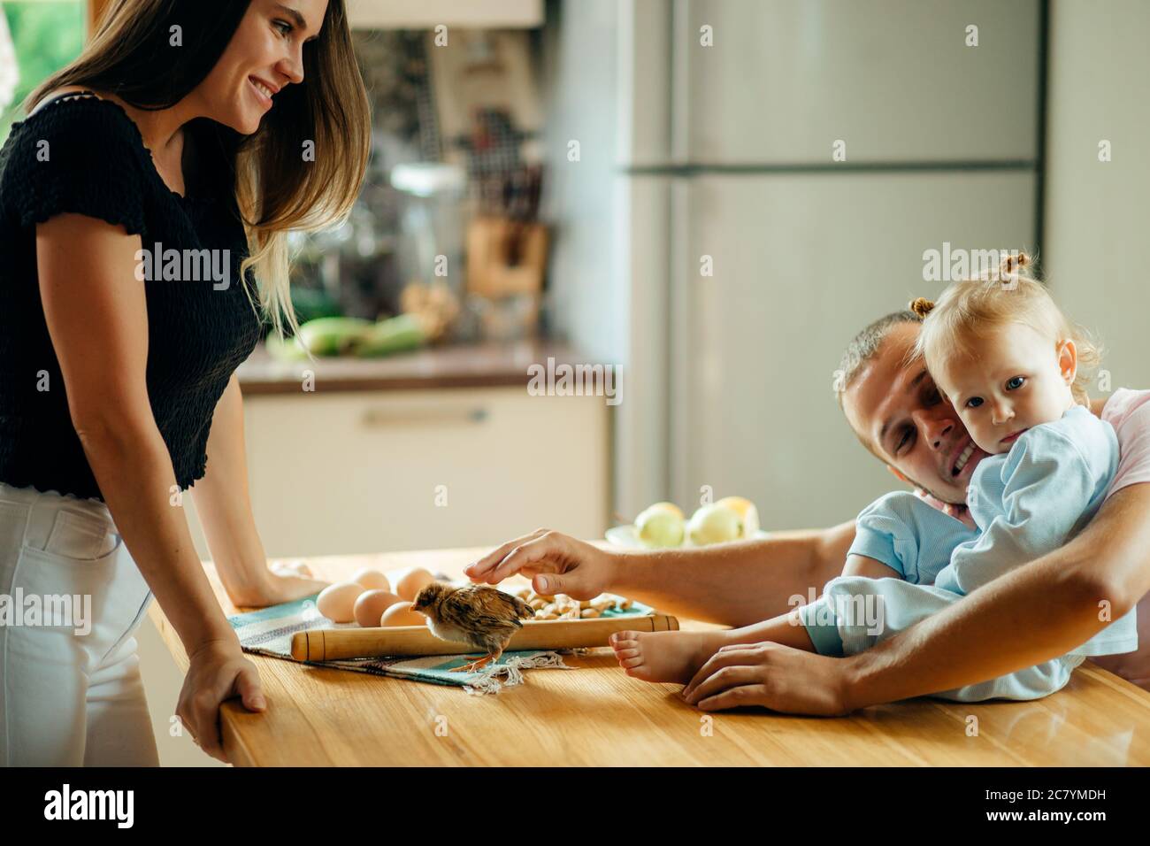 Cute sweet little child playing with little chicks at home with her ...
