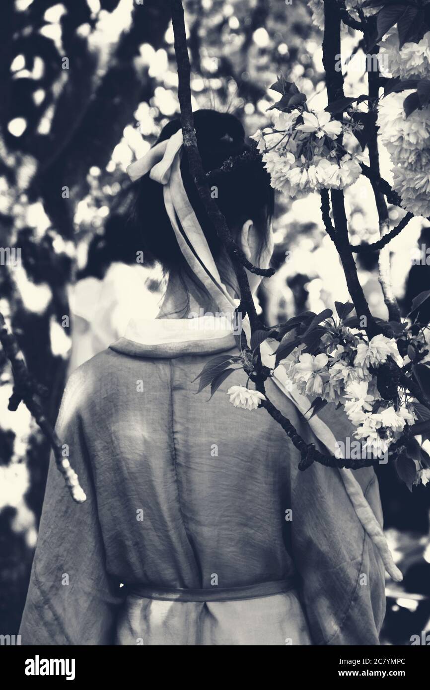 Hanami celebration. Young woman in traditional kimono admiring cherry ...