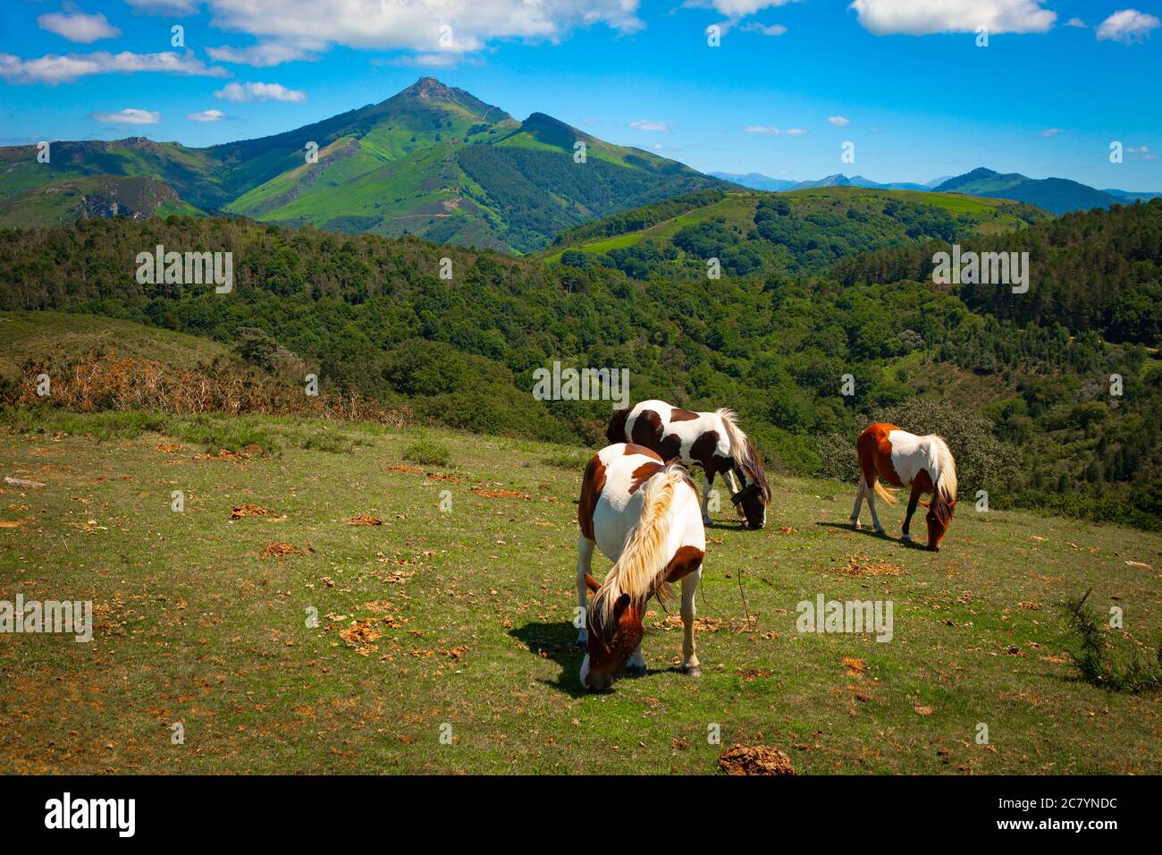 Cheval lac hi-res stock photography and images - Alamy