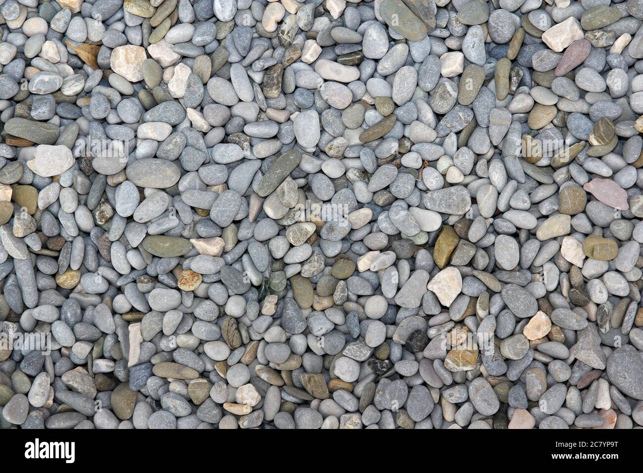 grey pebble on the beach - background texture Stock Photo - Alamy