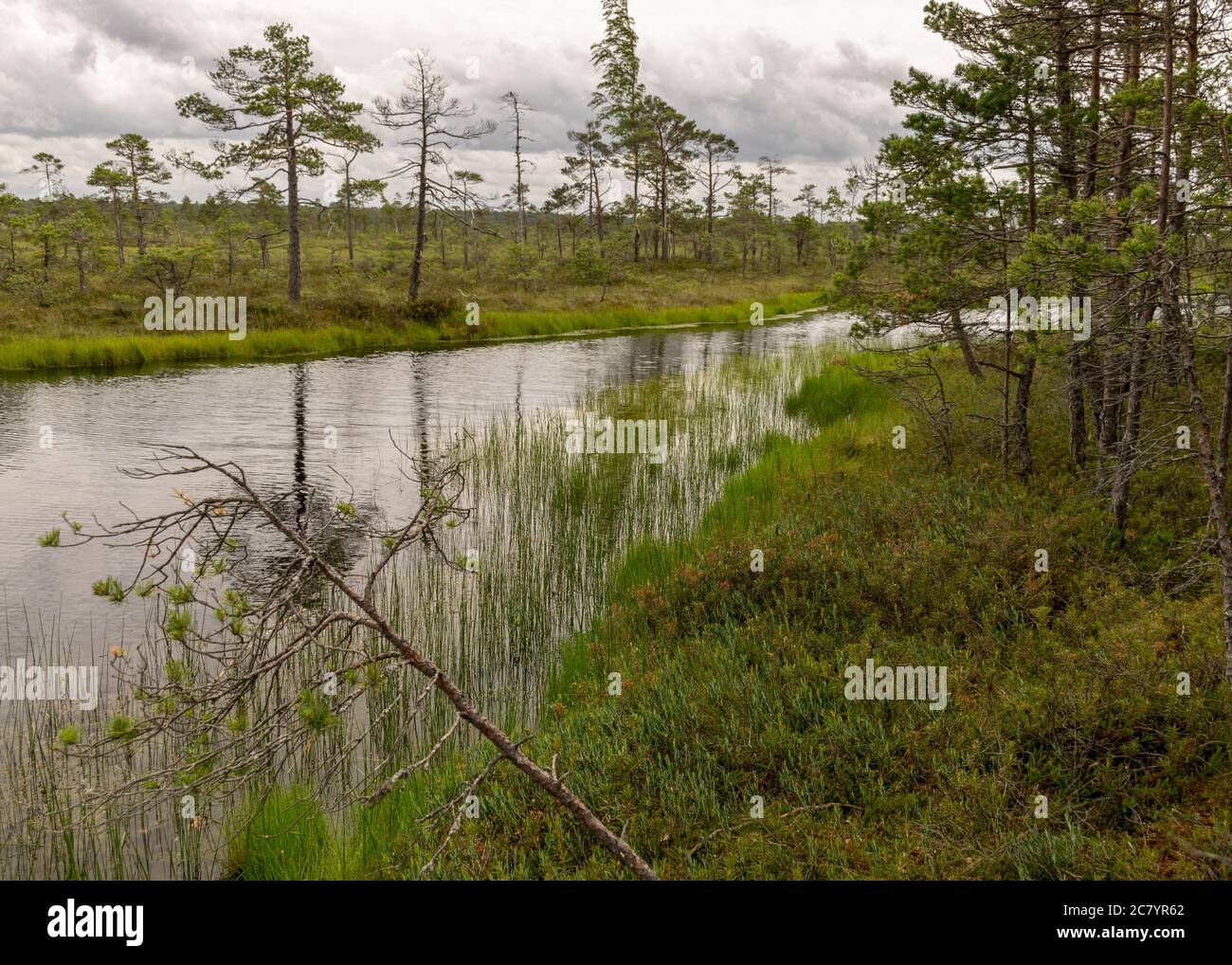 landscape with stunning bog views. beautiful clouds. View of the ...