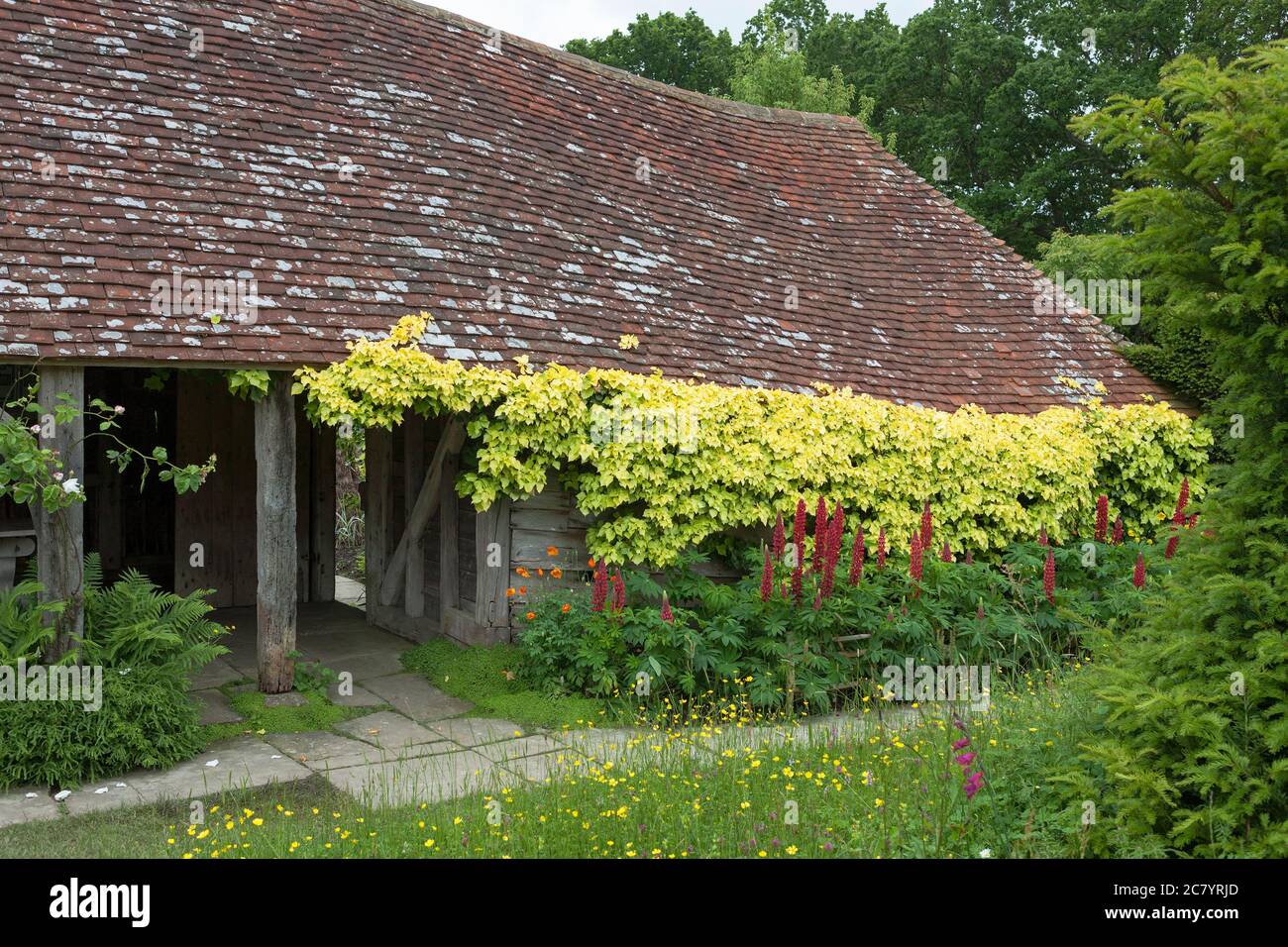 Hovel medieval hi-res stock photography and images - Alamy