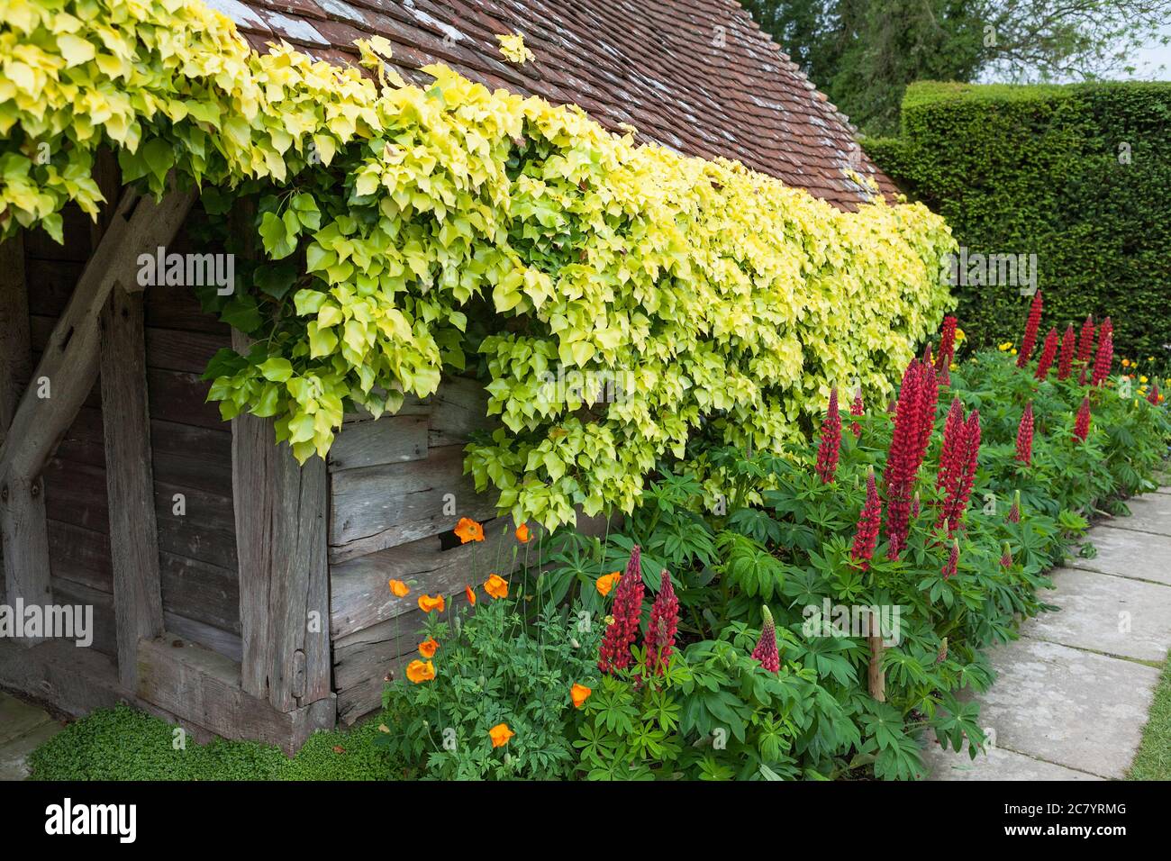 Hovel medieval hi-res stock photography and images - Alamy