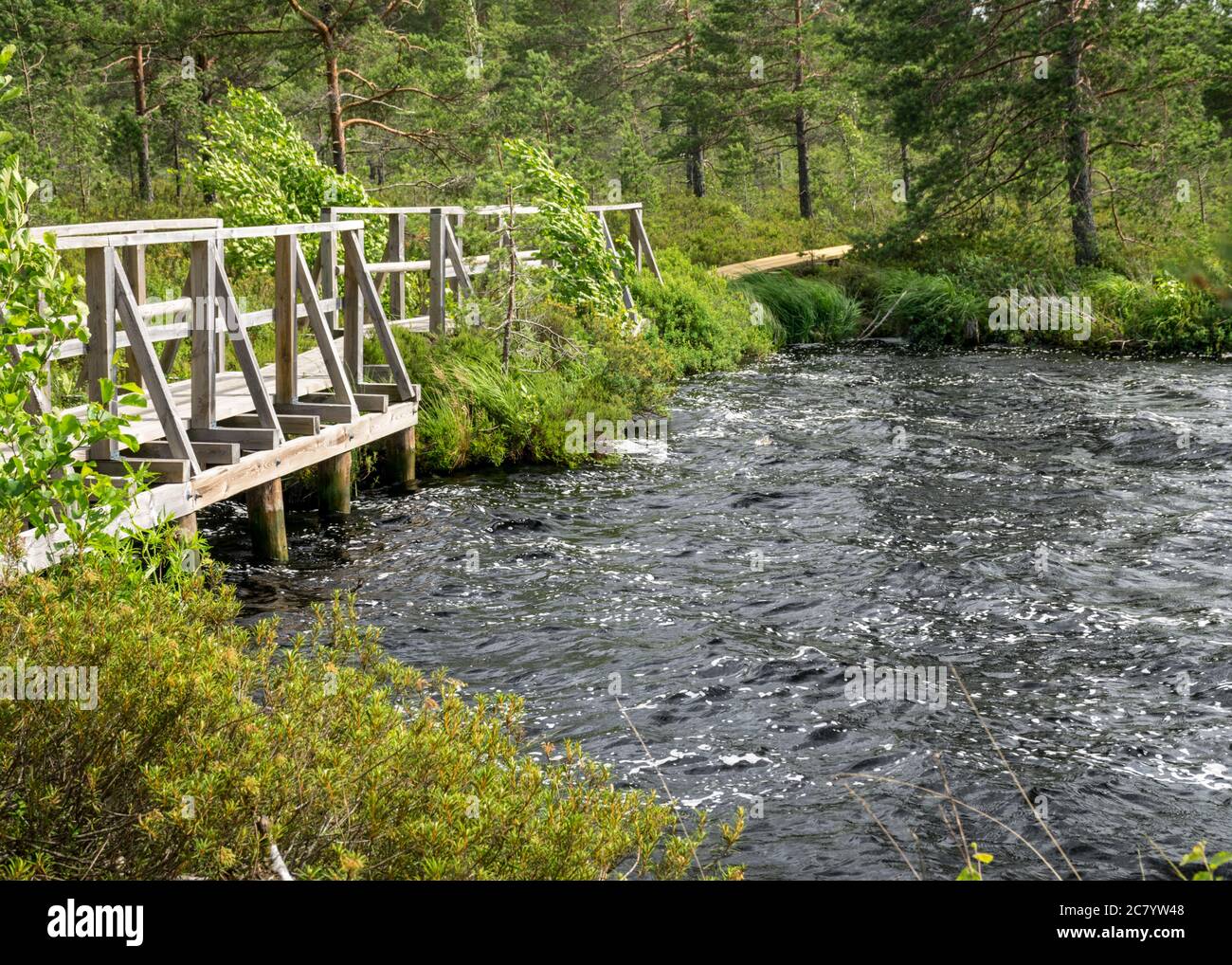 windy landscape with a swamp lake, a wooden pedestrian bridge, the lake ...