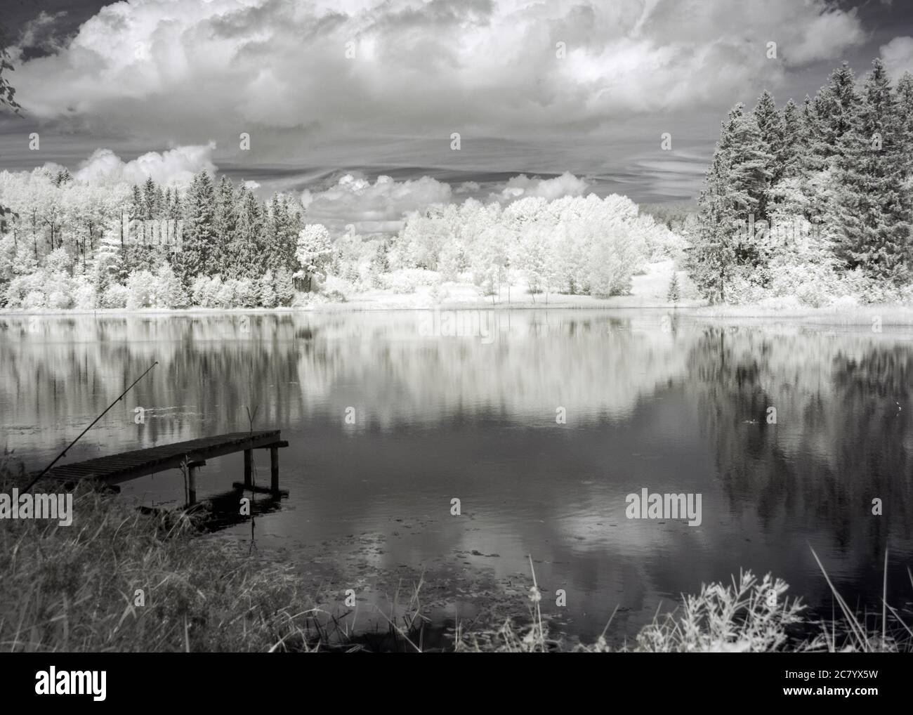 abstract landscape photographed with infrared filter, trees look like ...