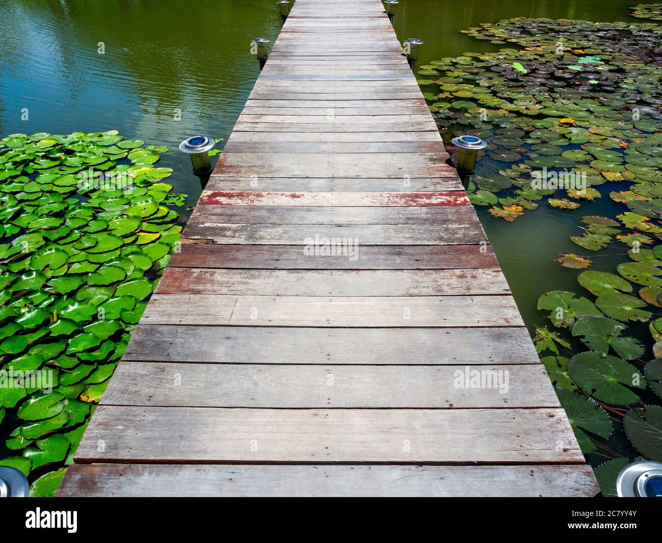 Plank Bridge Wood Lake Wooden Plank Bridge Over Water In Forest In