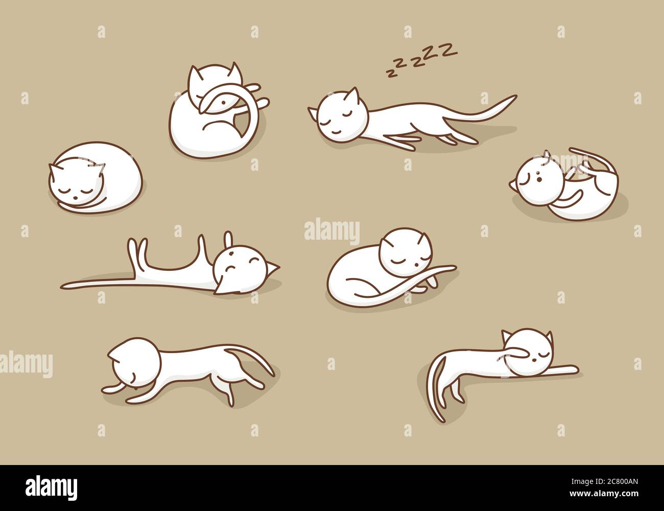 Cute white doodle cats sleeping in various positions Stock Photo - Alamy