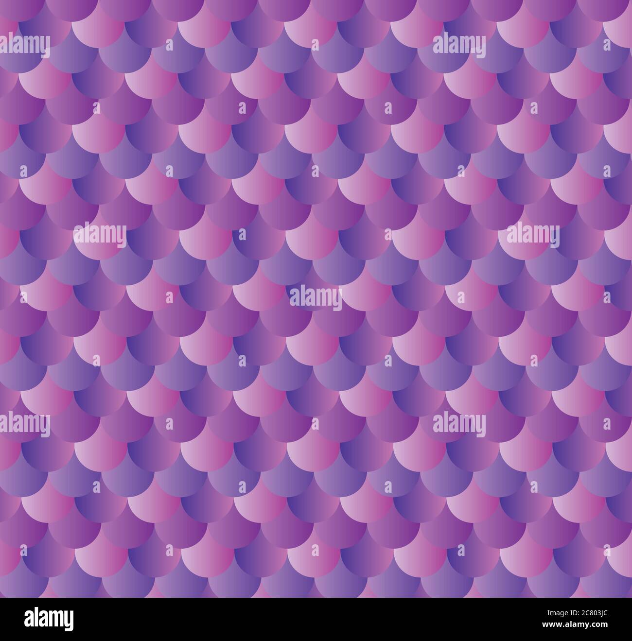 Scallop pattern vector illustration design.Purple seamless vector ...