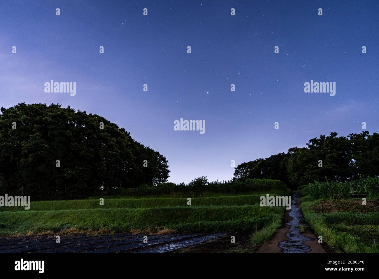 Solar star solar farm hi-res stock photography and images - Alamy
