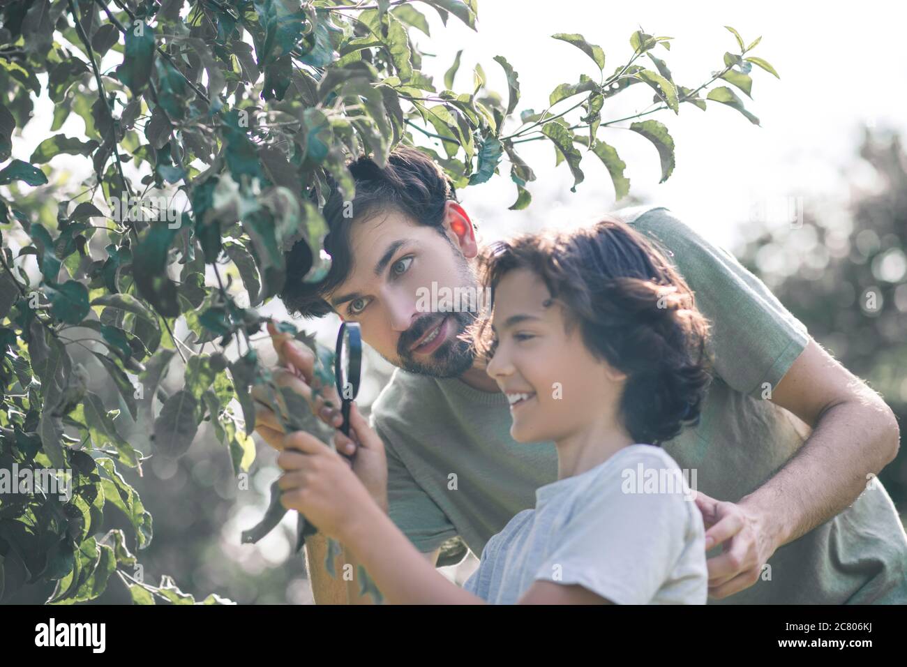 Dad teaching his son to cut branches with secator Stock Photo - Alamy