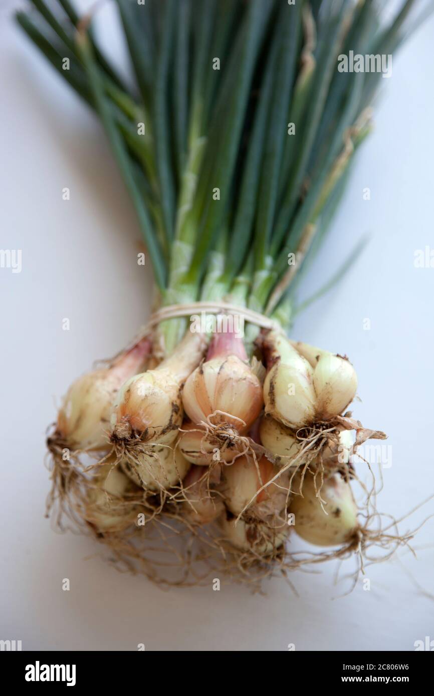 Shallots and scallions hi-res stock photography and images - Alamy