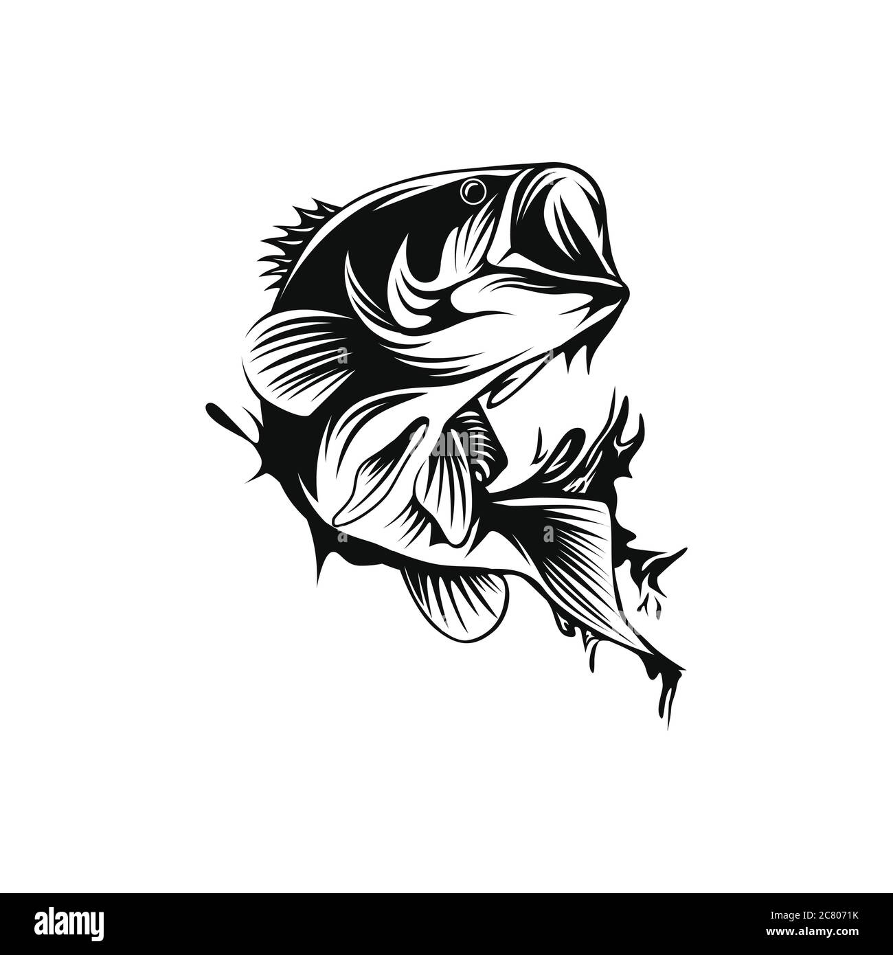 Bass Fish Vector