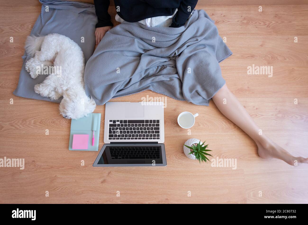 Working from a plan hi-res stock photography and images - Alamy