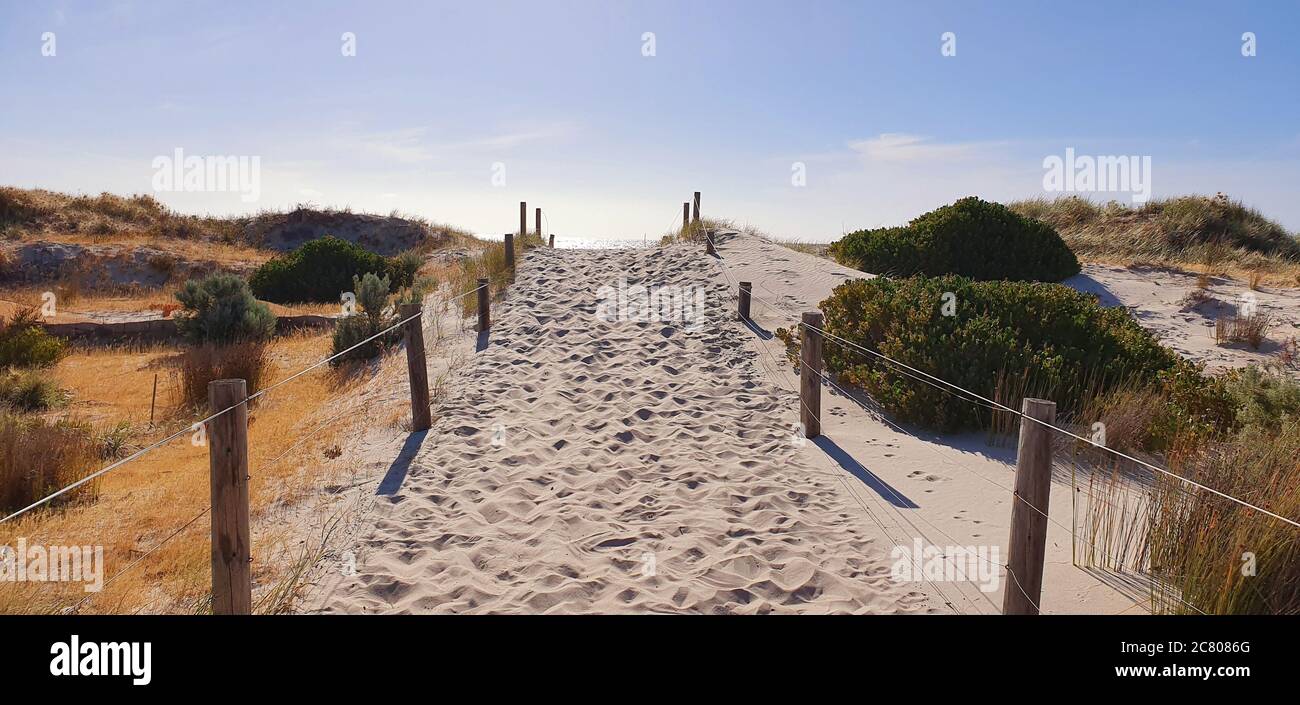 Sandy walking path surrounded by bushes on a sunny day Stock Photo - Alamy