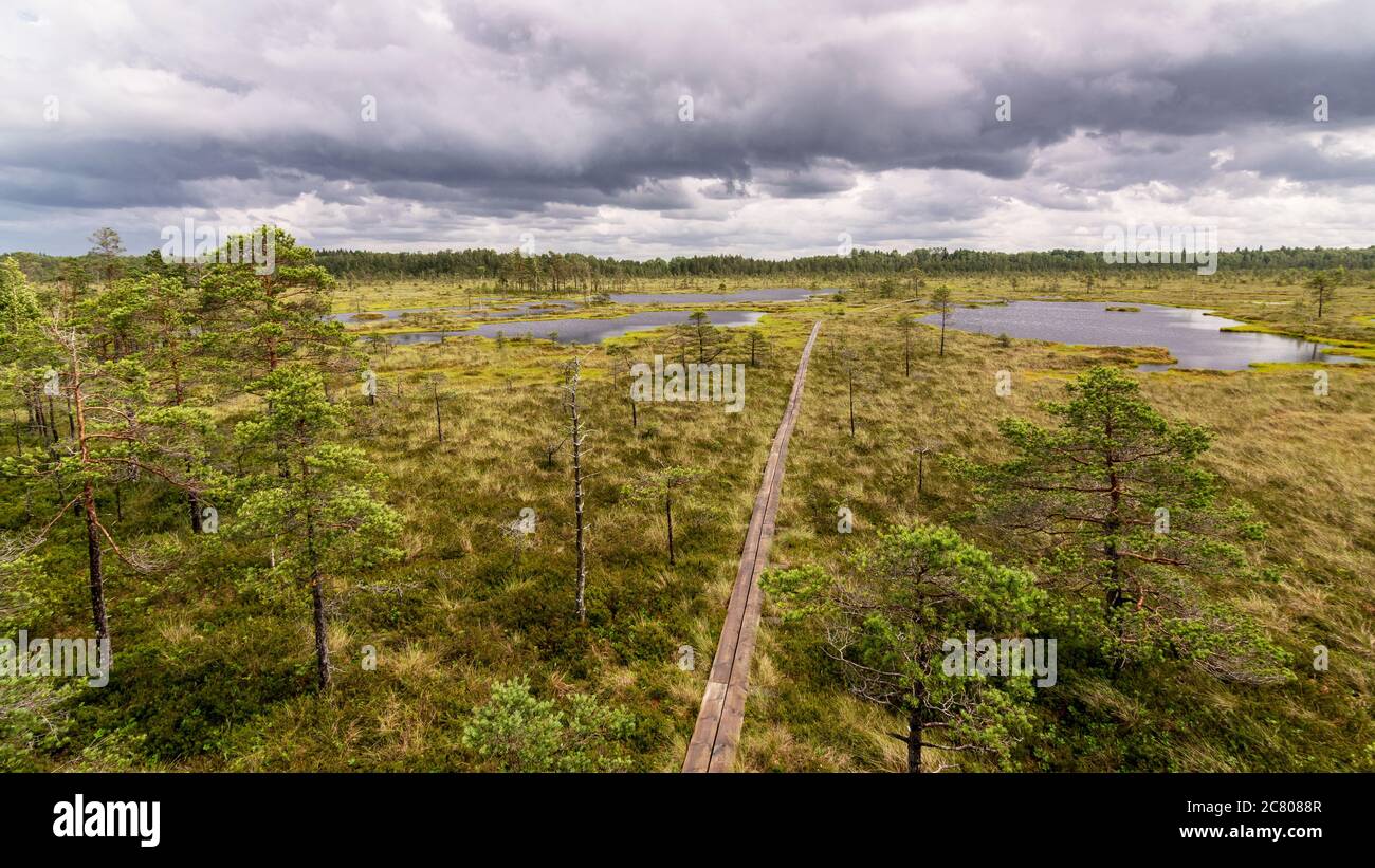 landscape with a pedestrian wooden footbridge over swamp wetlands with ...