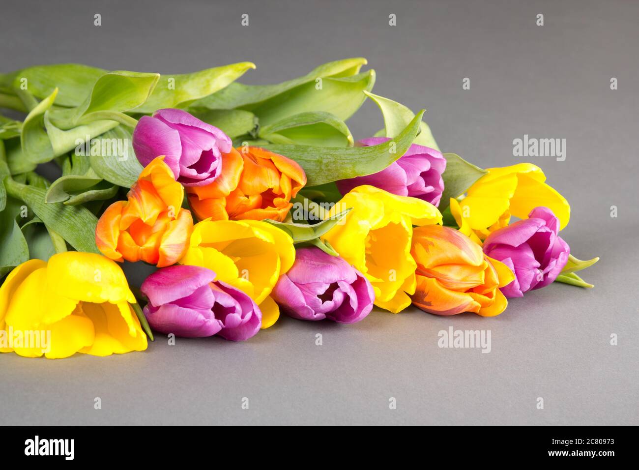 colorful bouquet of tulips over grey background Stock Photo - Alamy
