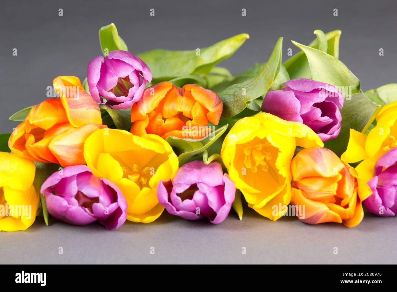 bouquet of colorful tulips over grey background Stock Photo - Alamy
