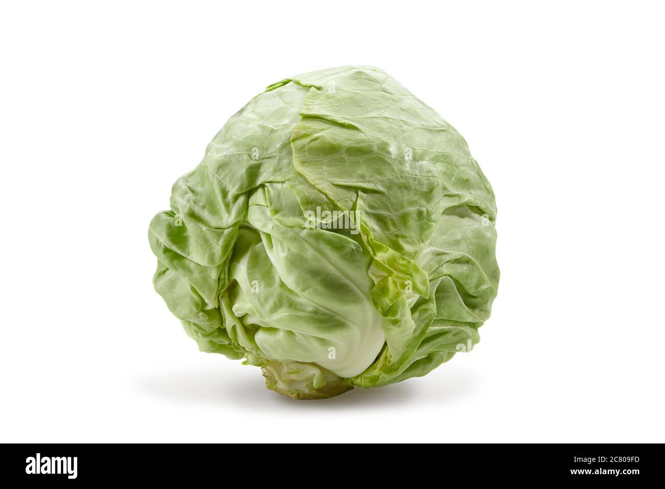 Fresh harvested, pale green cabbage isolated on white background ...