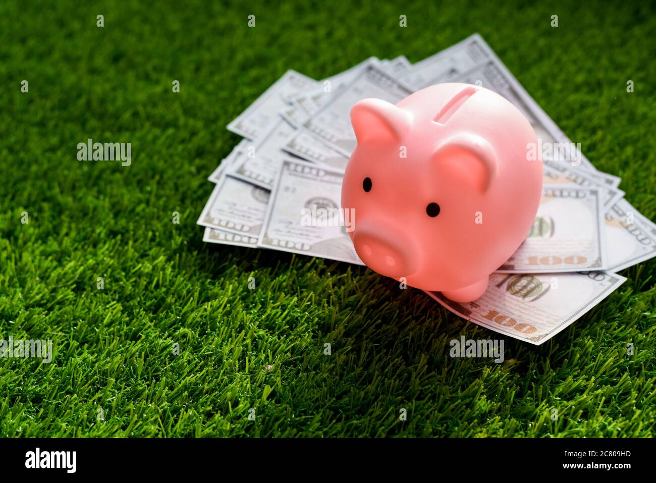 Pink piggy bank with dollar bills on green grass. Copy space Stock ...