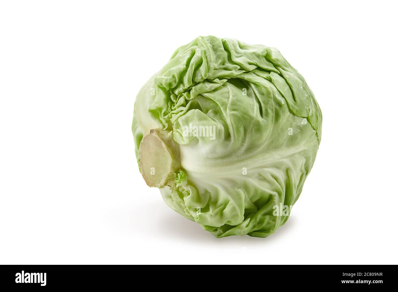 Ripe, pale green cabbage isolated on white background. Smooth-leafed ...