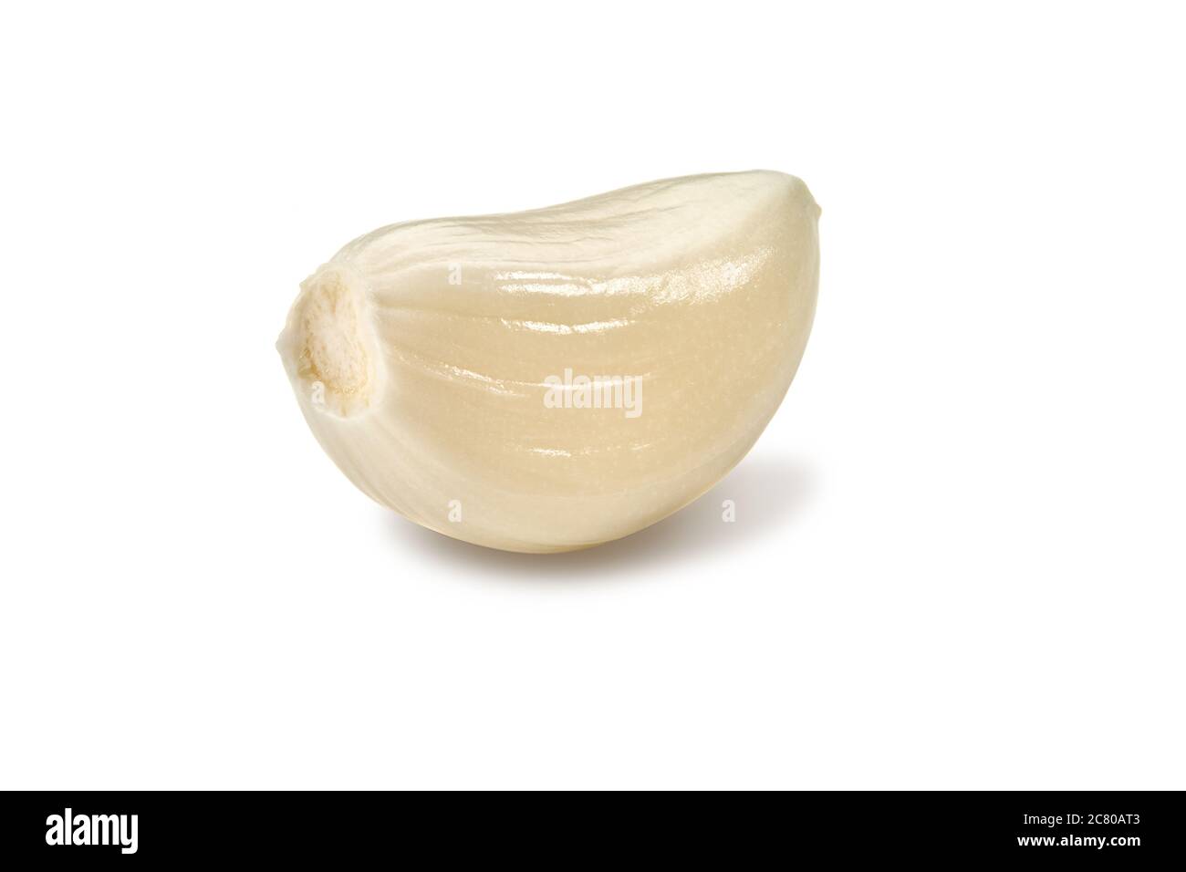 One fresh peeled segment of garlic, isolated on white background ...