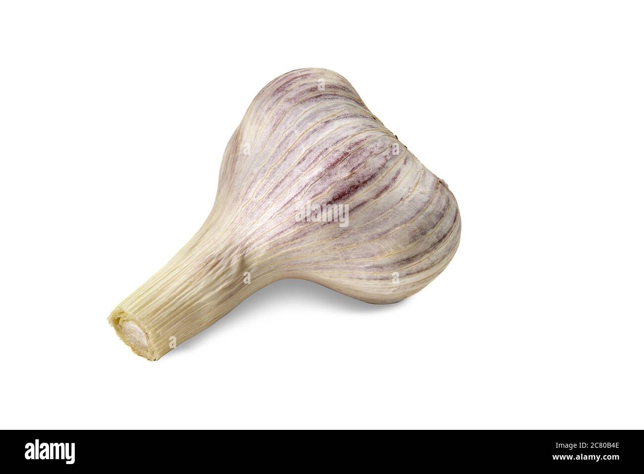 Unpeeled bulb of ripe garlic isolated on white background. Vegetable ...