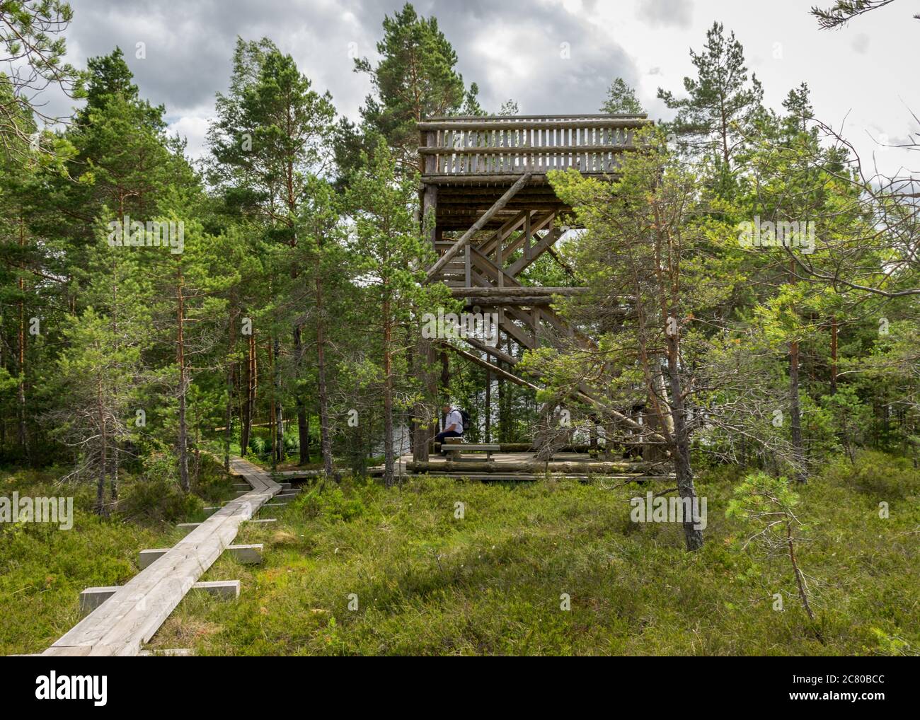 landscape with a wooden nature observation tower on the side of the bog ...