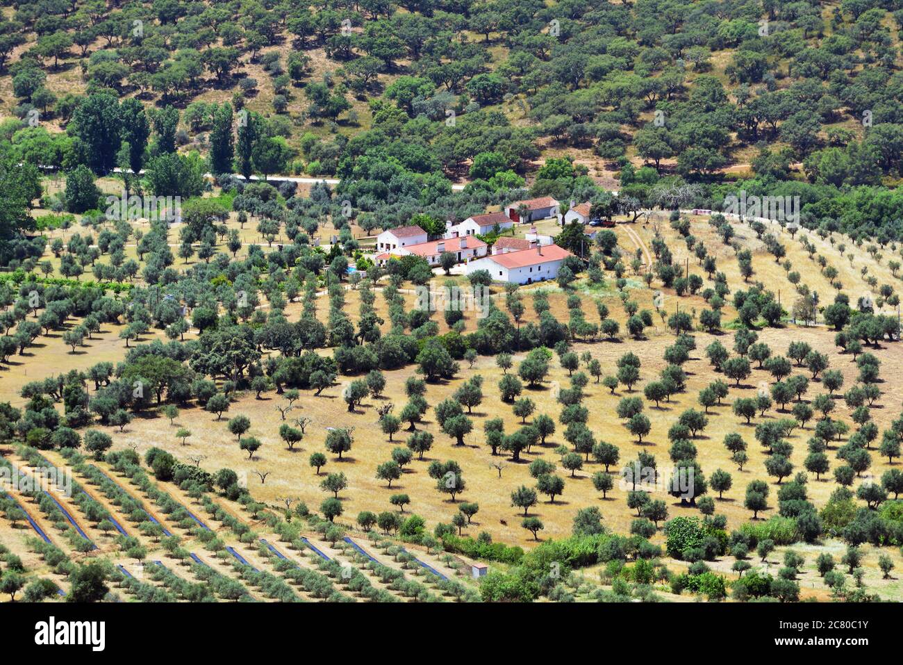 Beautiful countryside landscape nearby Evoramonte, Alentejo, Portugal ...