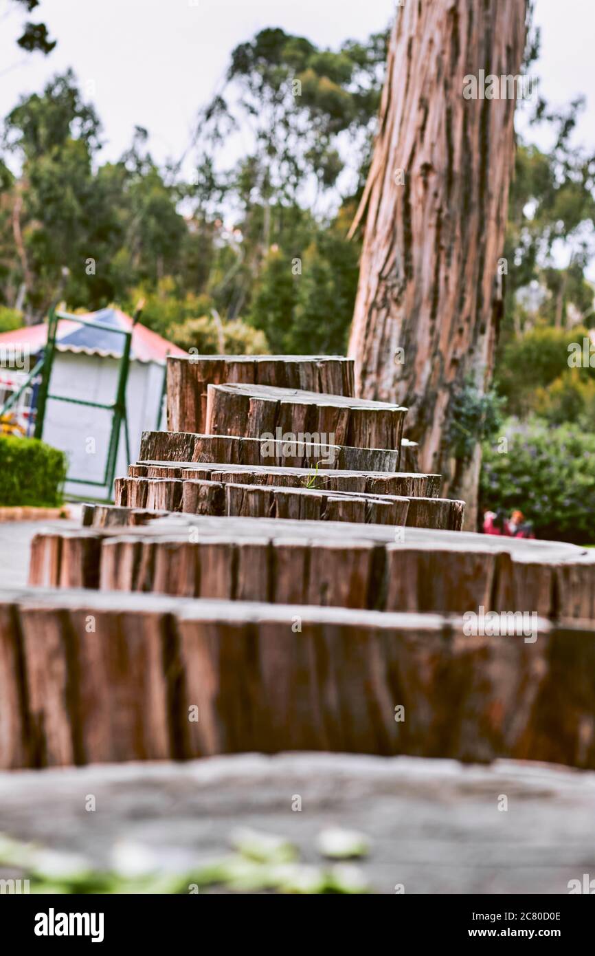 Vertical shot align logs a large tree background Stock Photo - Alamy