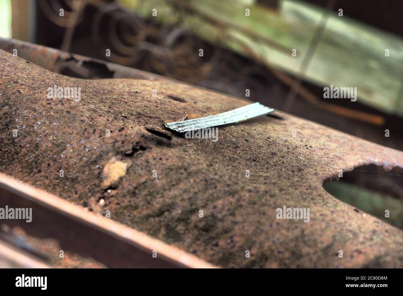 Rusty metallic objects in the forest captured duting the daytime Stock ...