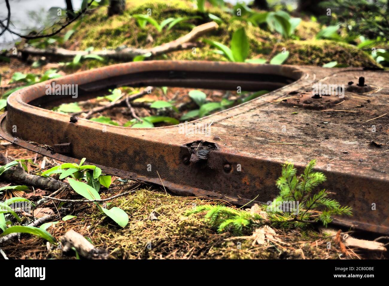 Rusty metallic objects in the forest captured duting the daytime Stock ...