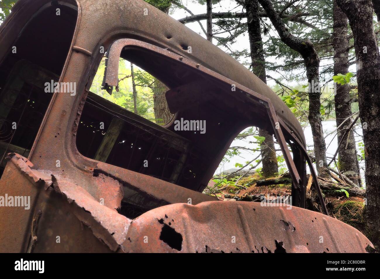 Rusty metallic objects in the forest captured duting the daytime Stock ...