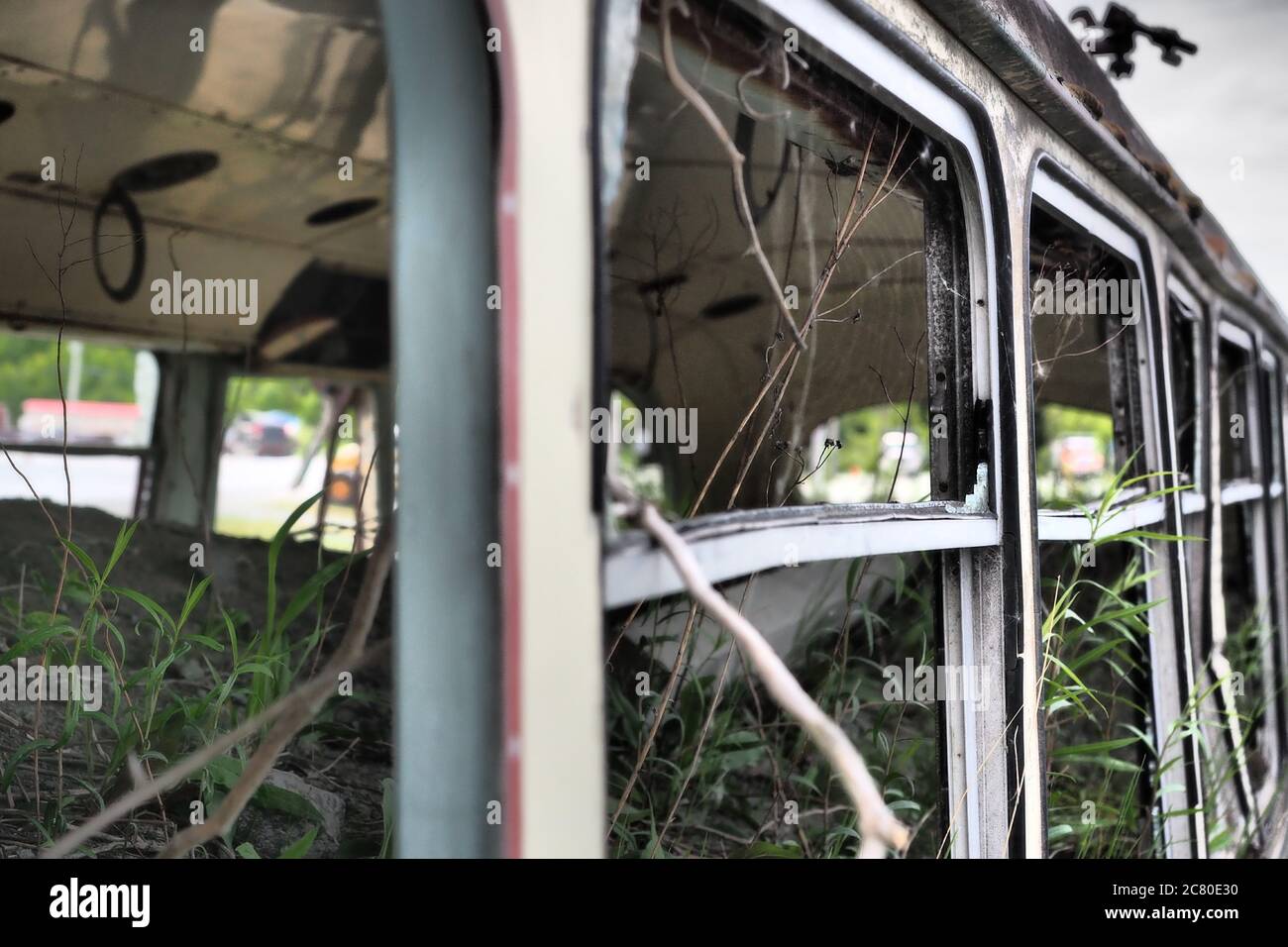 Closeup of the ruined and abandoned bus in a field Stock Photo - Alamy