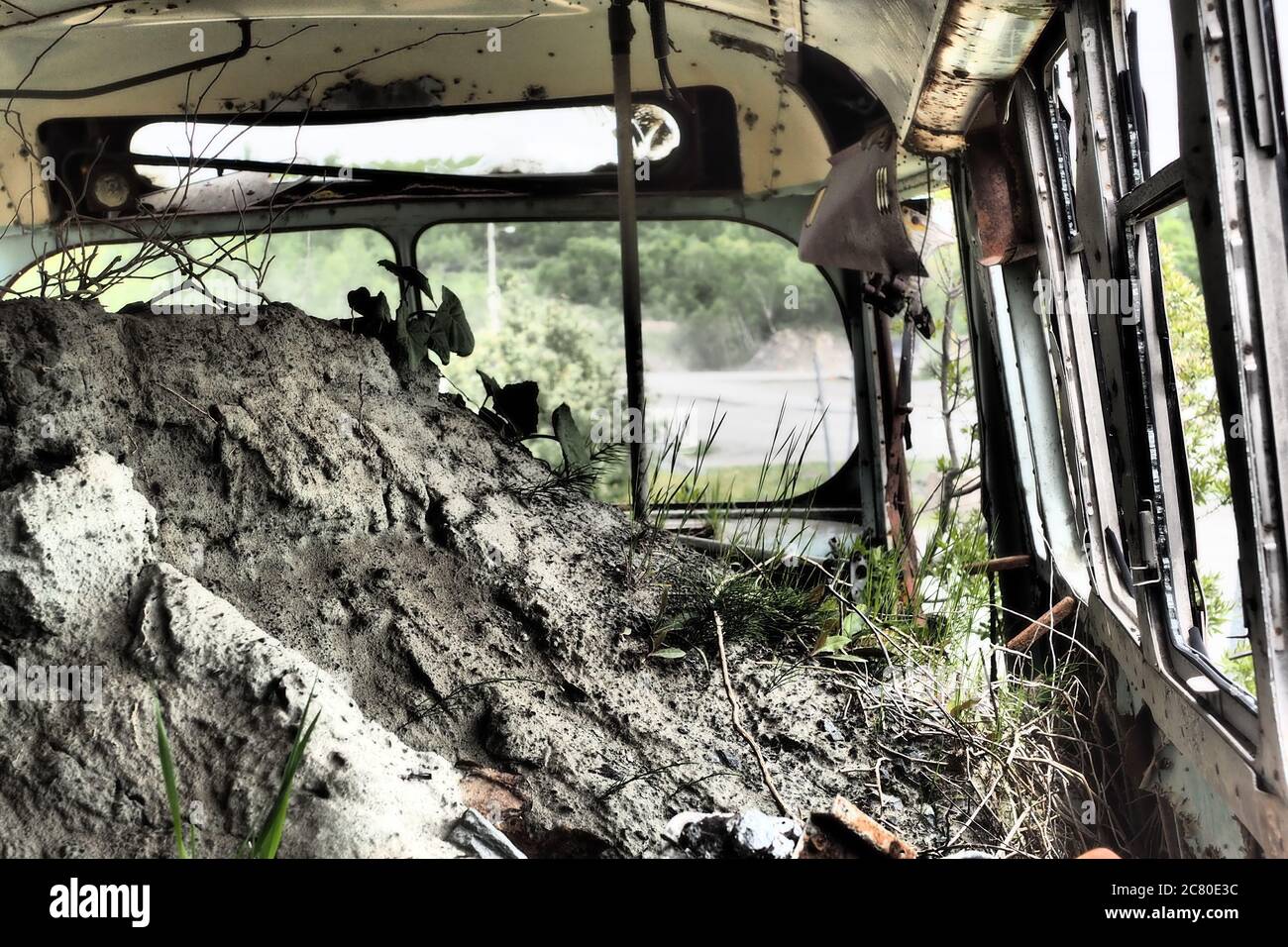 Closeup of the ruined and abandoned bus in a field Stock Photo - Alamy